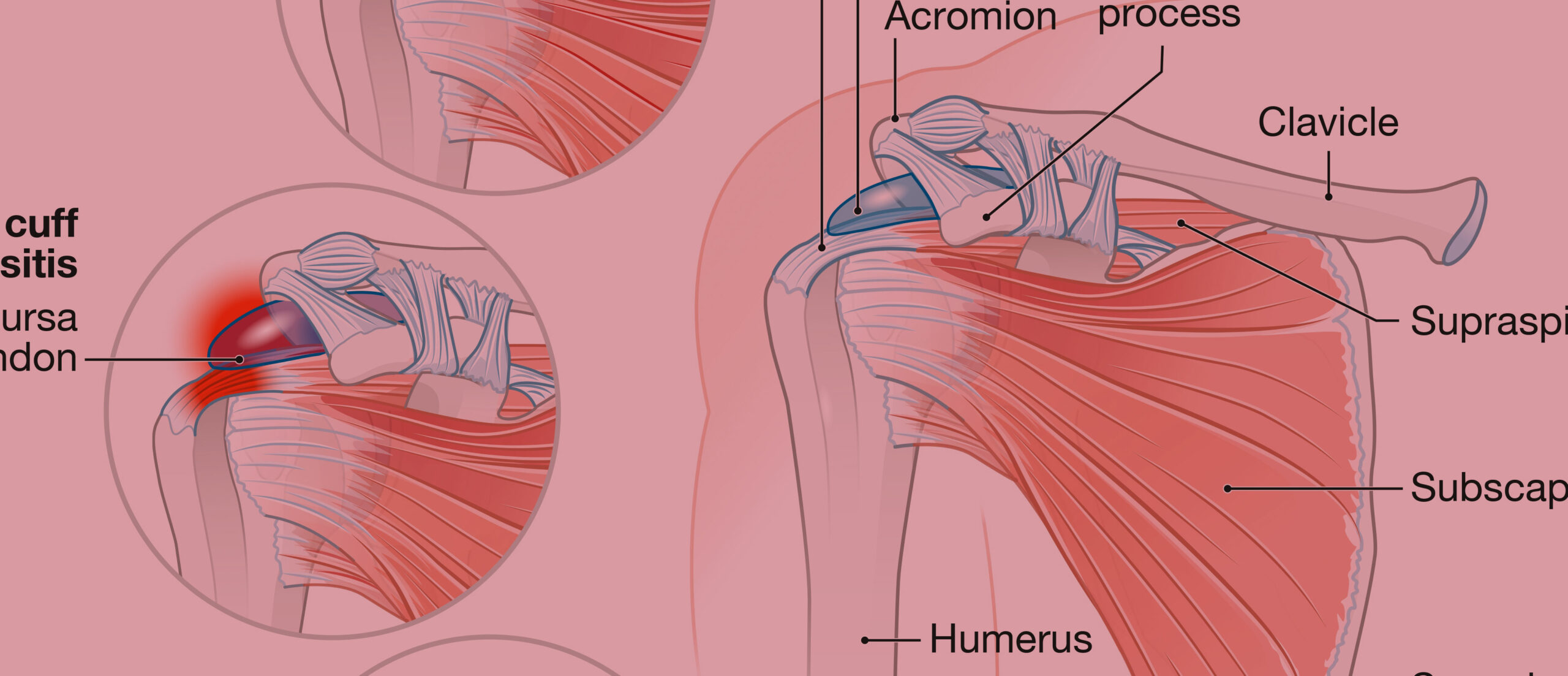 Kelowna Physiotherapy | Sun City Physiotherapy